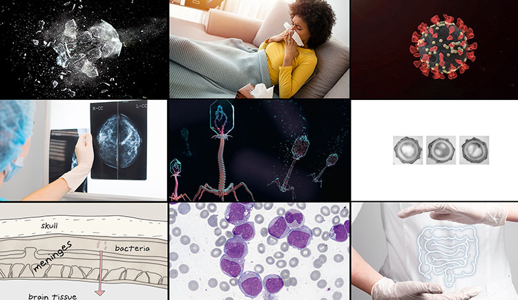 This Year in HMS Science | Harvard Medical School