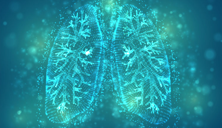 How the Body Copes With Airway Closure | Harvard Medical School