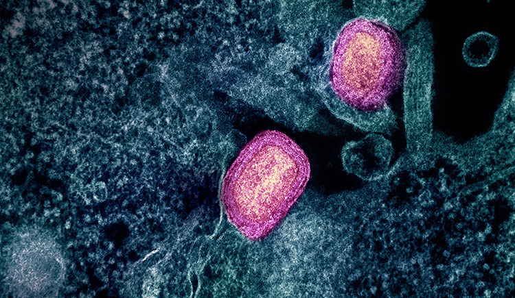 Mpox Declared Public Health Emergency of International Concern. Now ...