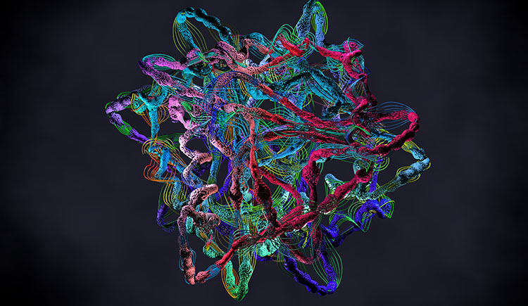 PINNACLE Tool Enhances Drug Discovery Through Protein Prediction ...