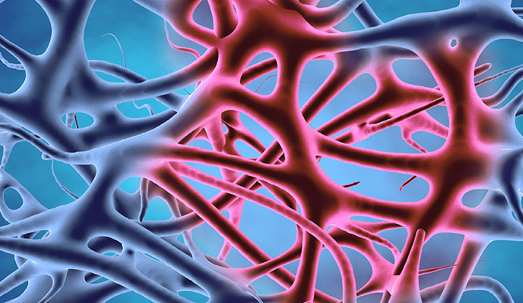 Scientists Identify New Driver of Inflammation Implicated in Autoimmune ...