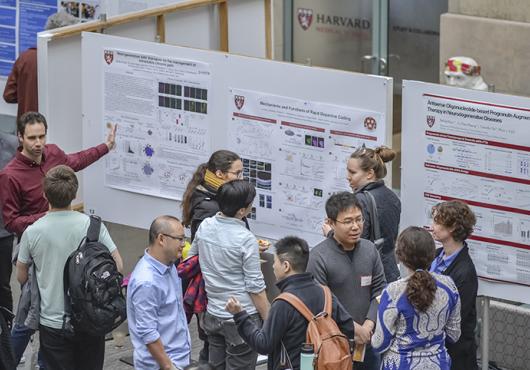 Welcome to the Quad | Harvard Medical School