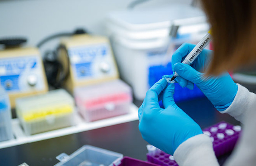 Five Harvard Medical School Faculty Named HHMI Investigators | Harvard ...
