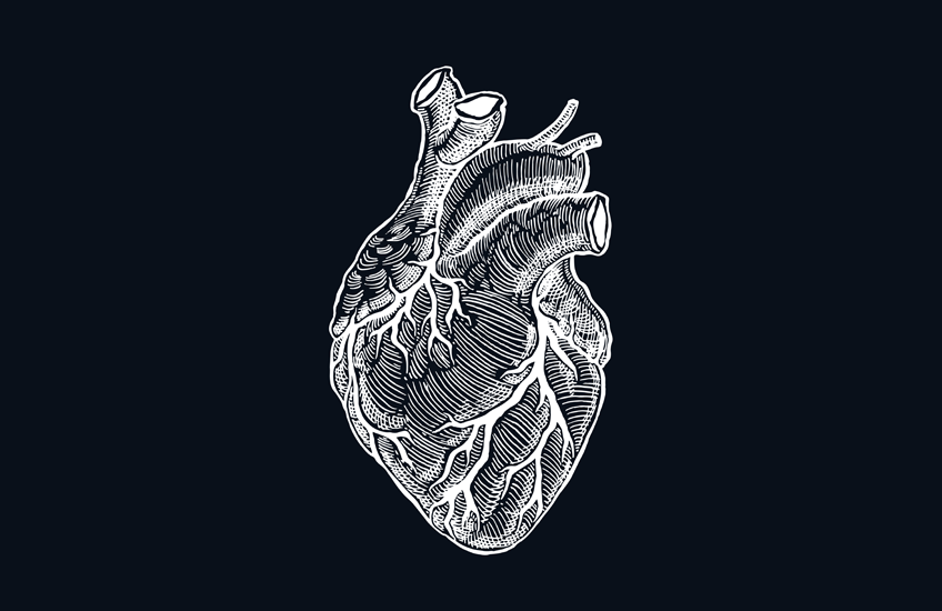 Diabetes Drug May Offer Treatment for Genetic Cardiomyopathies ...