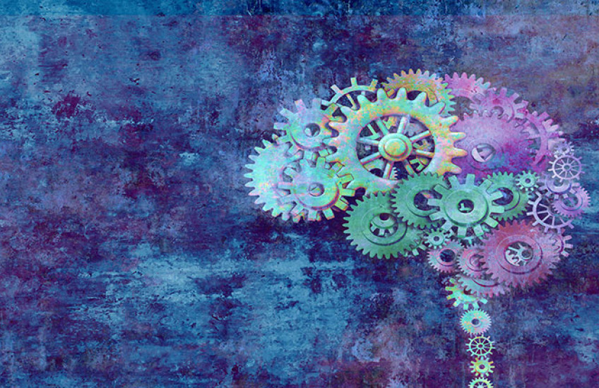 Decoding Touch | Harvard Medical School
