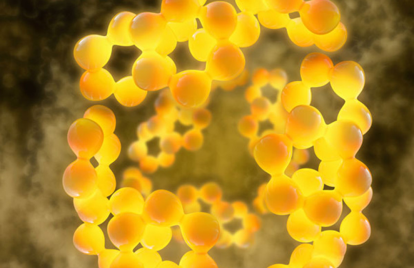 Signals from Fat | Harvard Medical School
