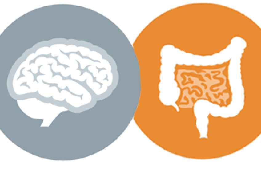 The Autism-GI Link | Harvard Medical School