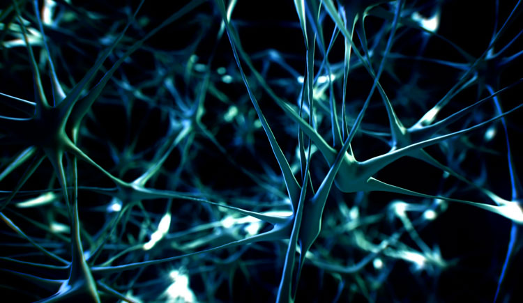 A New Strategy for Repairing DNA Damage in Neurons | Harvard Medical School