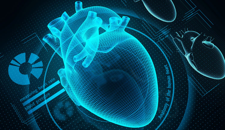 Heart-Saving AI | Harvard Medical School