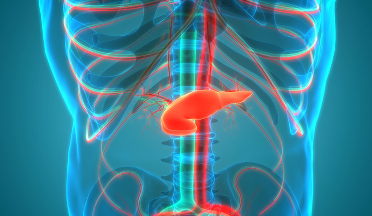 Blood Pressure Drug Benefit | Harvard Medical School