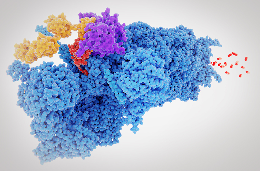 Waste Disposal | Harvard Medical School