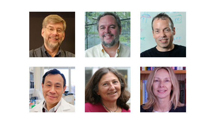 6 Faculty Elected 2018 AAAS Fellows | Harvard Medical School 6 Faculty Elected 2018 AAAS Fellows | Harvard Medical School