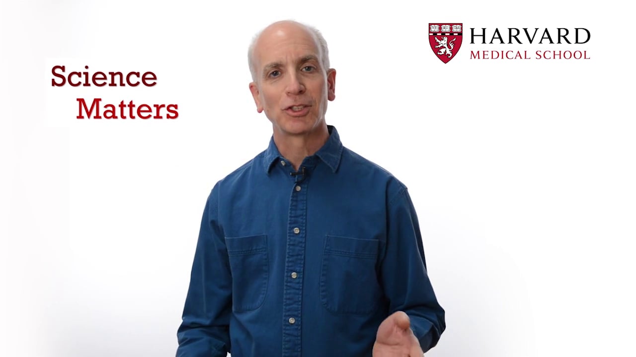 Fred Winston | The Ins and Outs of Gene Regulation | Harvard Medical School