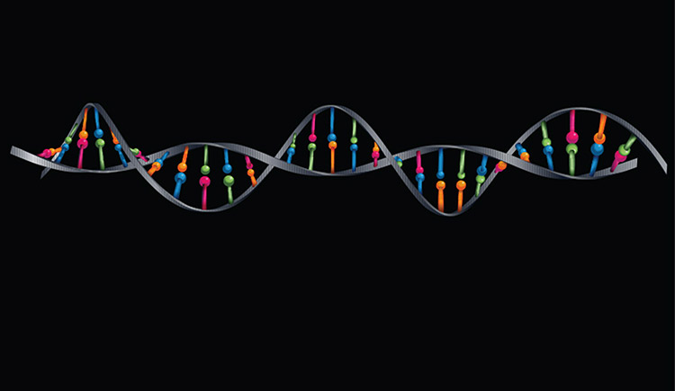 All About EVE | Harvard Medical School