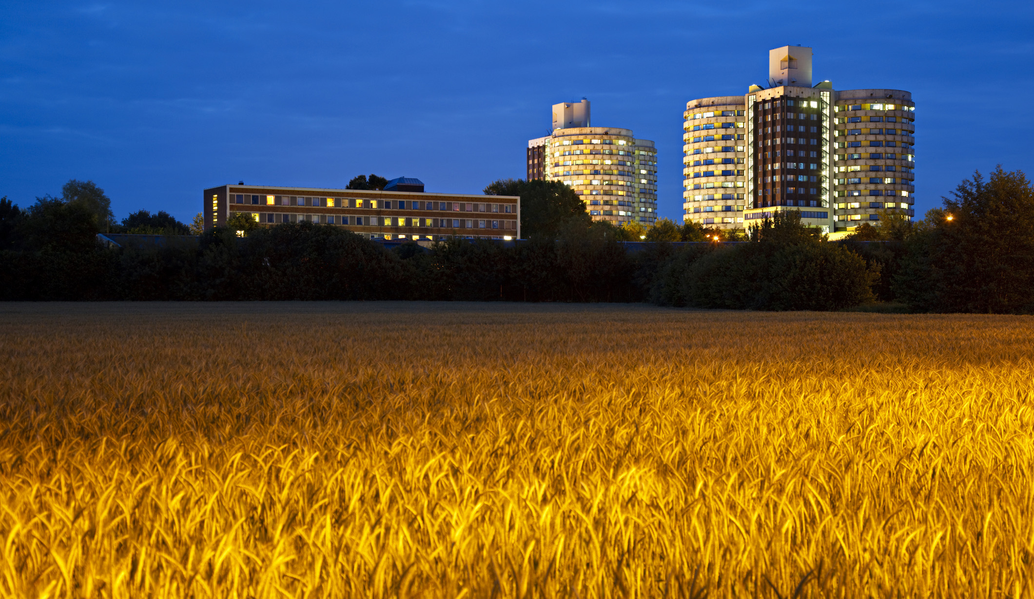 Presence of Teaching Hospitals Improves Outcomes | Harvard Medical School