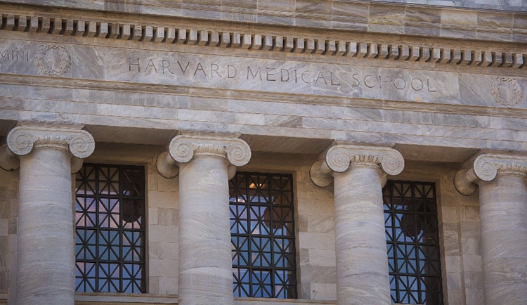 5 from HMS Elected to American Academy of Arts and Sciences | Harvard ...