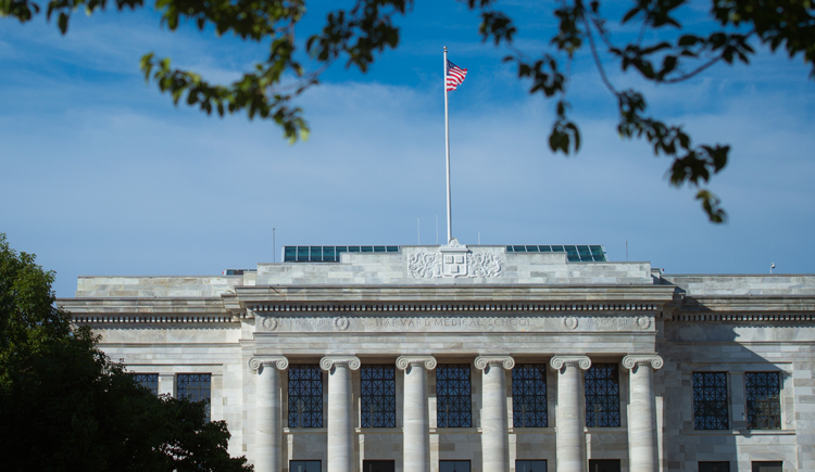 Promising New American Physician-Scientists | Harvard Medical School