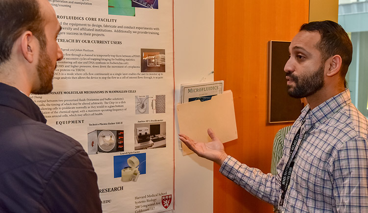 At the Core of It All | Harvard Medical School