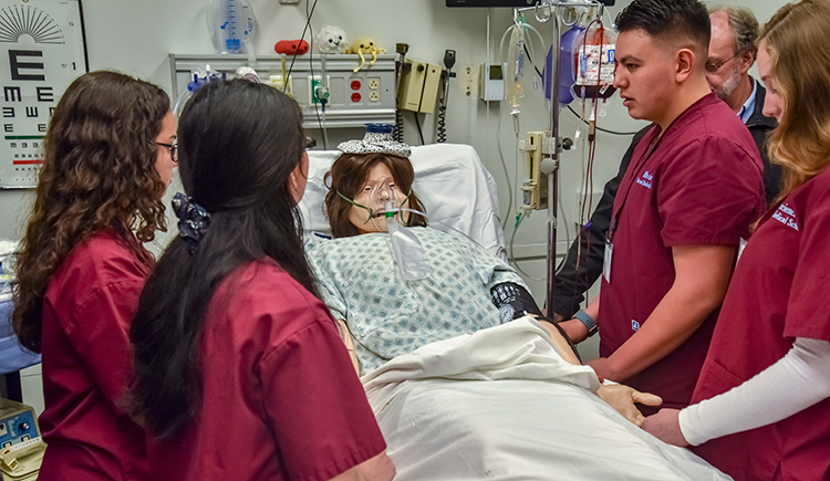 Targeting Addiction | Harvard Medical School