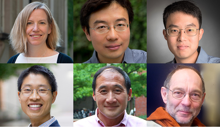 Six HMS Scientists Receive NIH Director’s Awards | Harvard Medical School