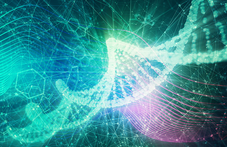 Supporting the Next Generation of Cancer Researchers | Harvard Medical ...