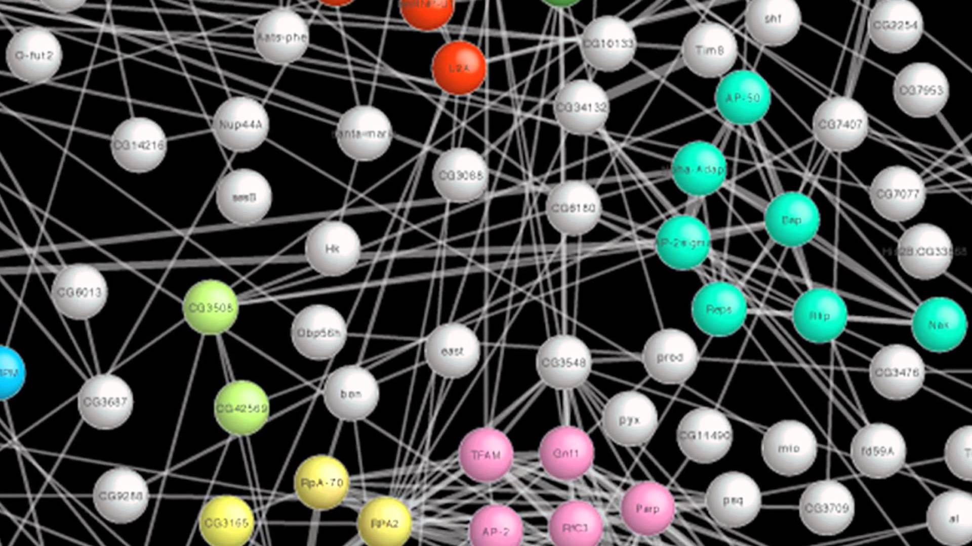 Fly Paper | Harvard Medical School