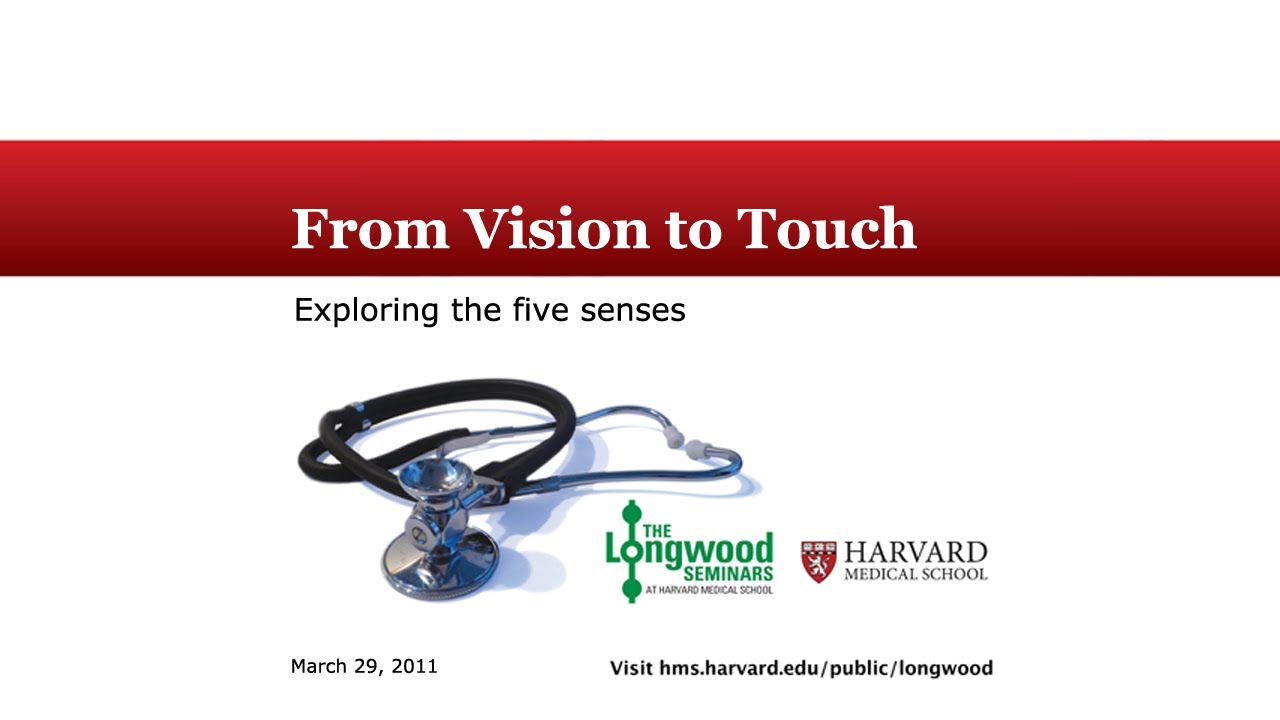 From Vision to Touch | Harvard Medical School