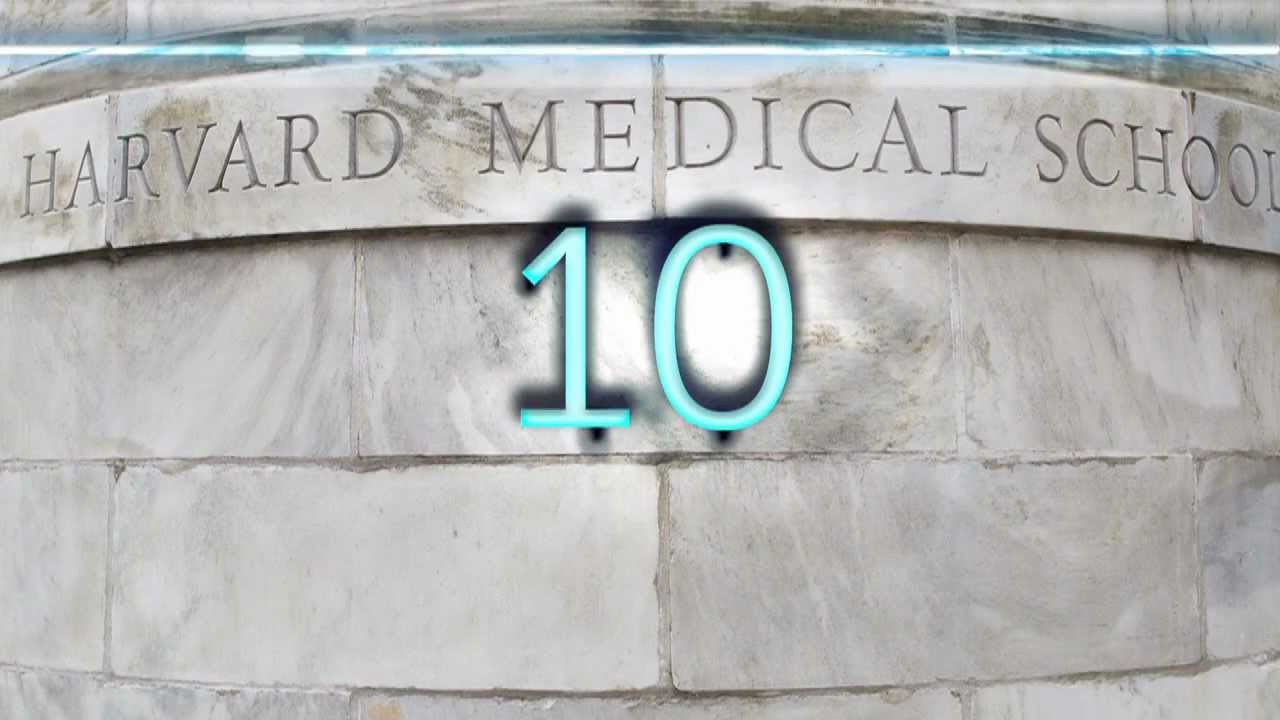 HMS Curriculum Fellows | Harvard Medical School