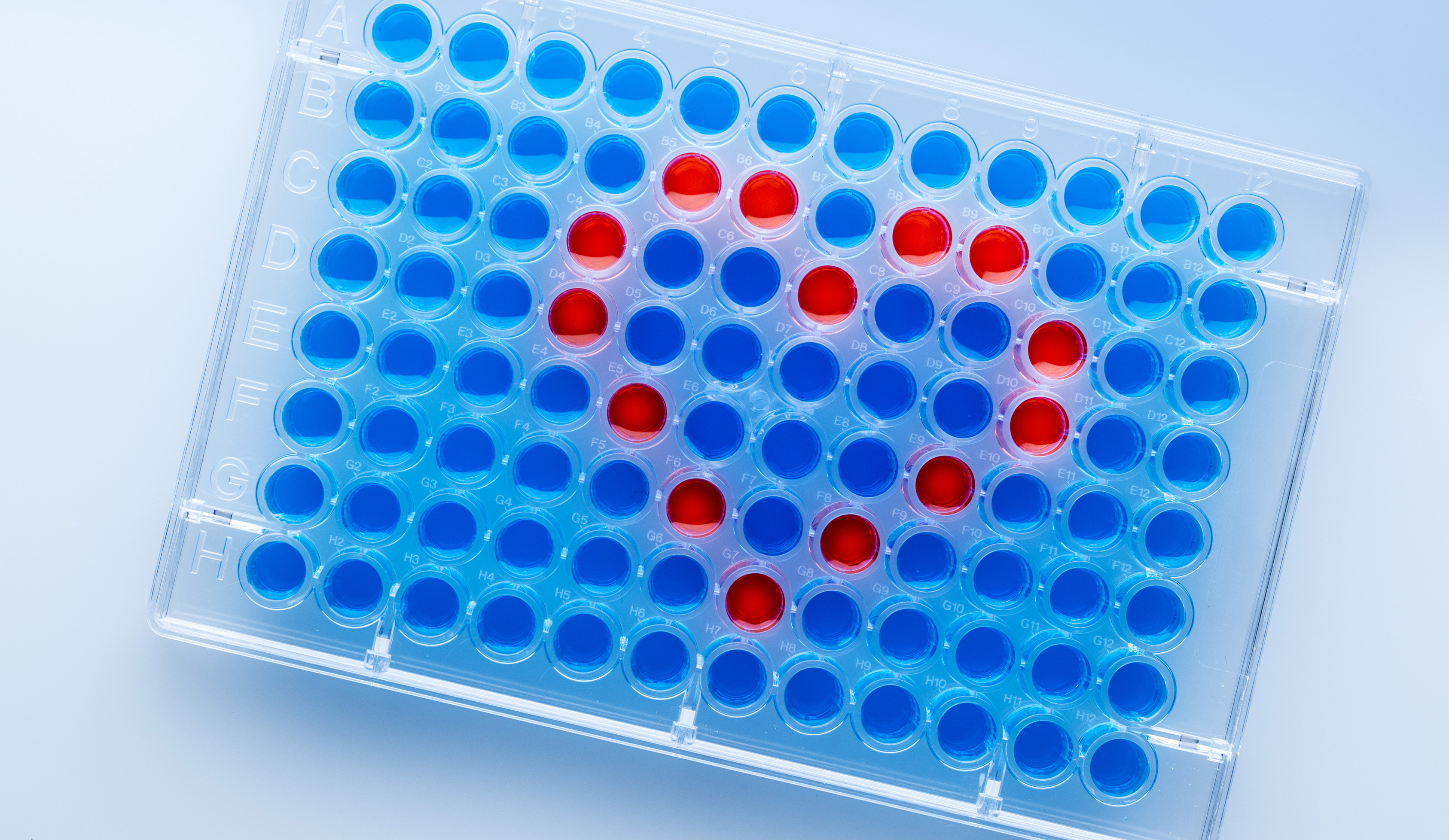 Predicting Risk | Harvard Medical School