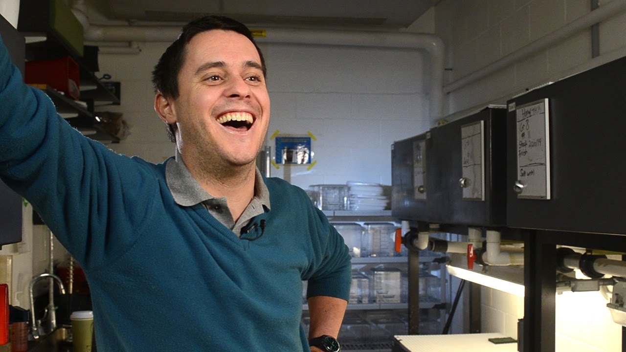 "Intimidating at first" | Harvard Medical School