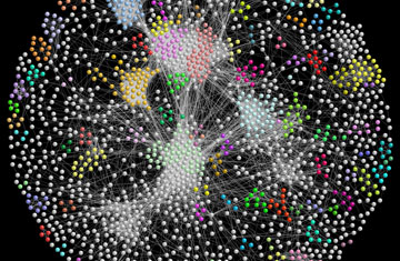 Researchers Build Largest Protein Interaction Map to Date | Harvard ...