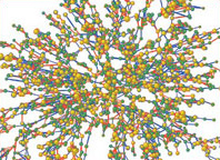The Science of Social Networks | Harvard Medical School