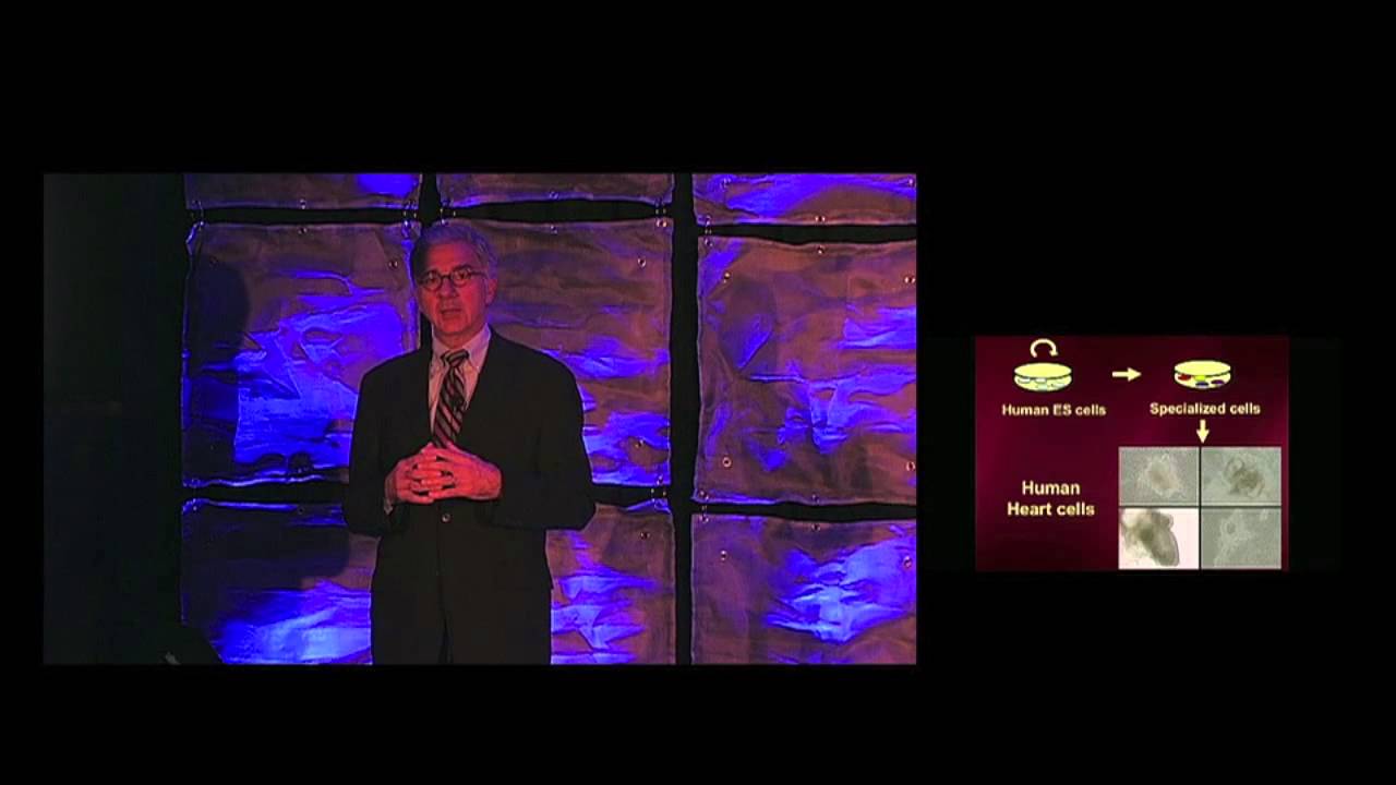 Standing on the Threshold | Harvard Medical School