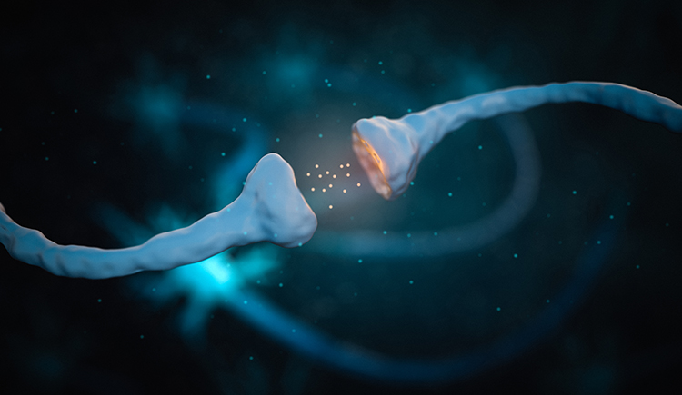 Molecular Cartography | Harvard Medical School