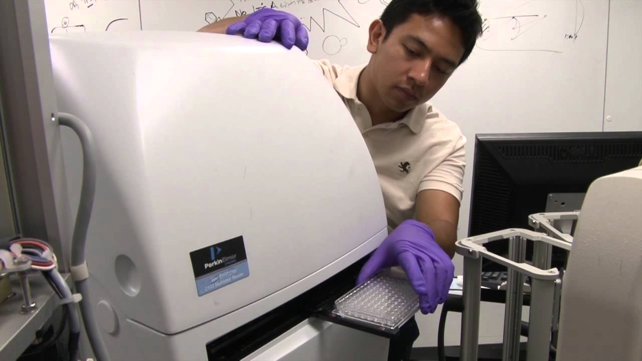 Meet a Systems Biologist | Harvard Medical School