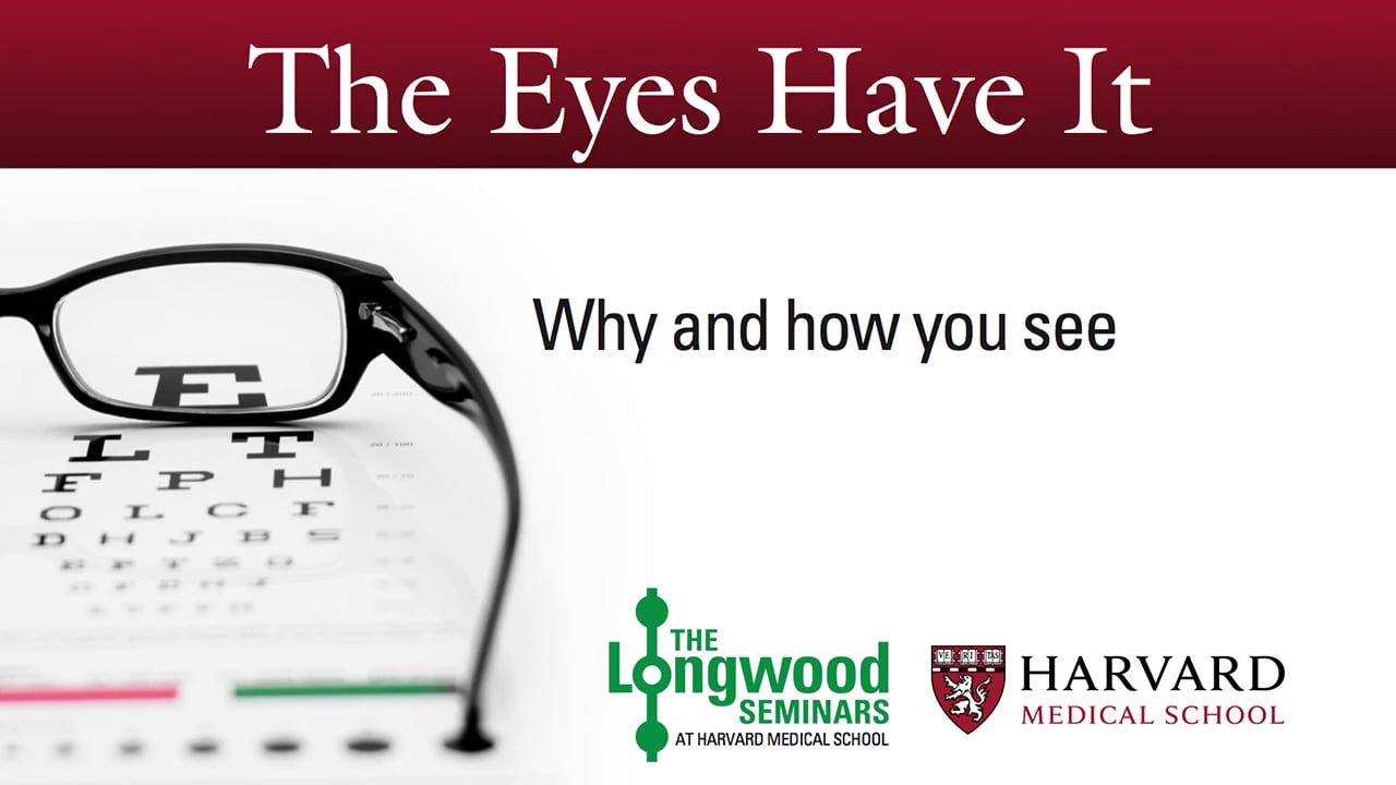 The Eyes Have It | Harvard Medical School