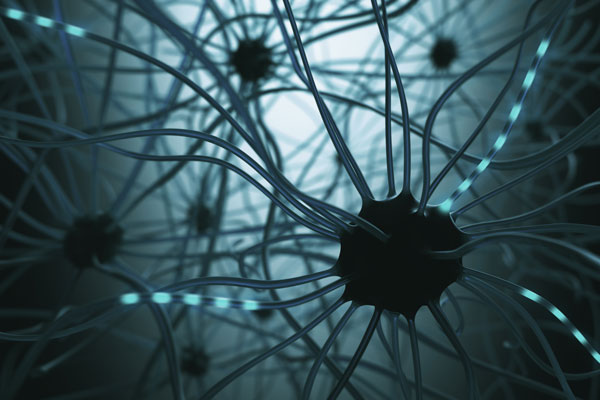 Power Boost | Harvard Medical School